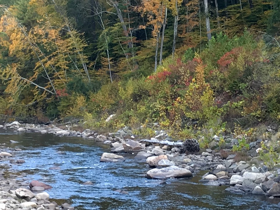 Glamping and Multi-Species Angling – FishTek